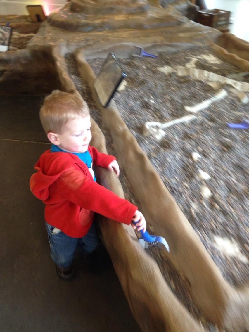 The Best ASTC Passport Museums in the Northeast - Affordable Family Travel