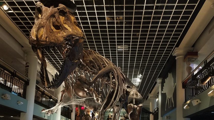 The Best ASTC Passport Museums in the Northeast - Affordable Family Travel