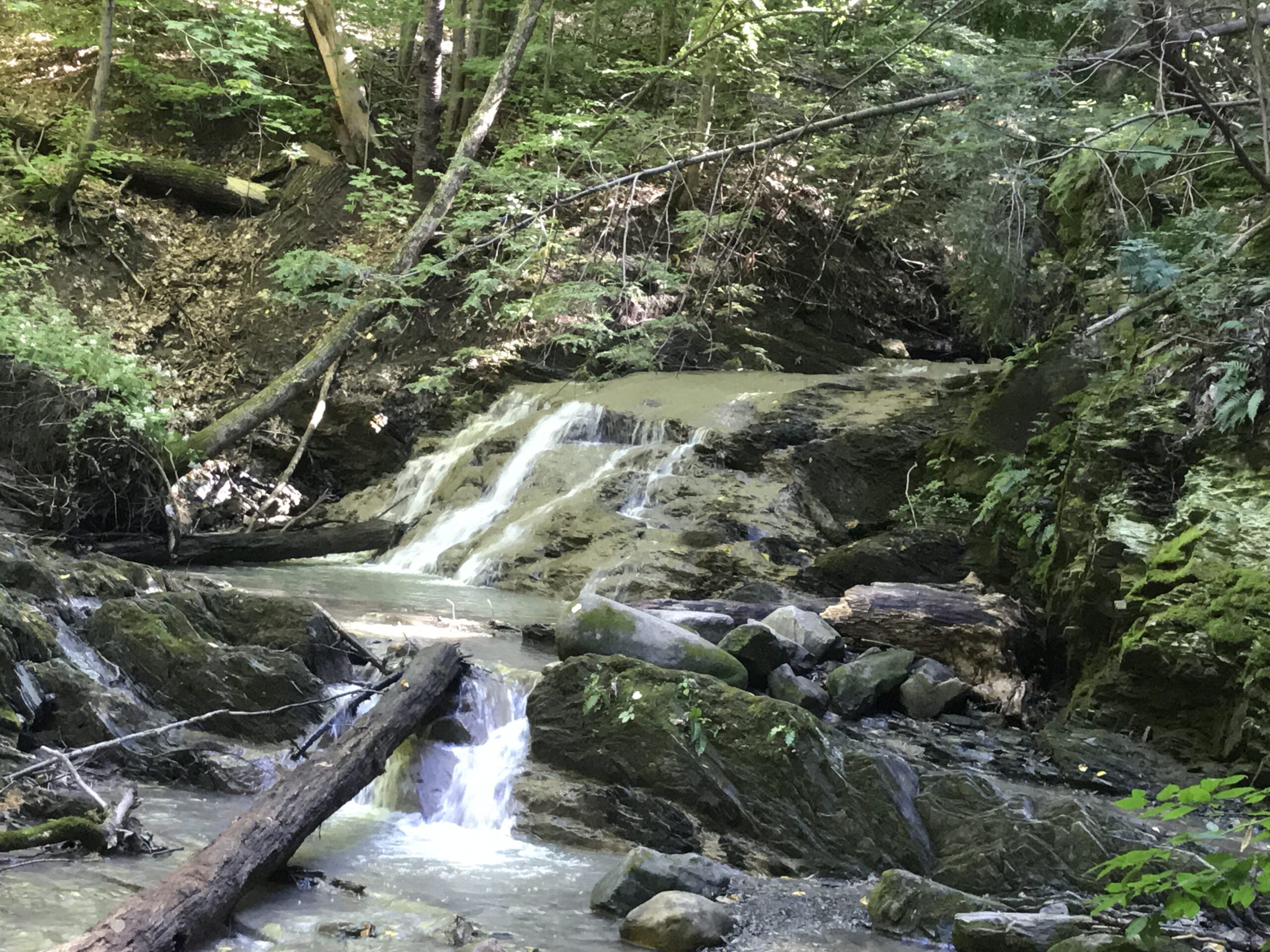 Capital Region Hikes: Bloomingdale Brook Waterfalls Hike with Kids ...