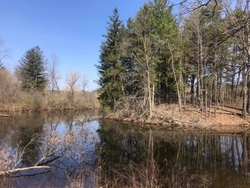 Fun Outdoor Learning for Kids at Five Rivers Environmental Education ...