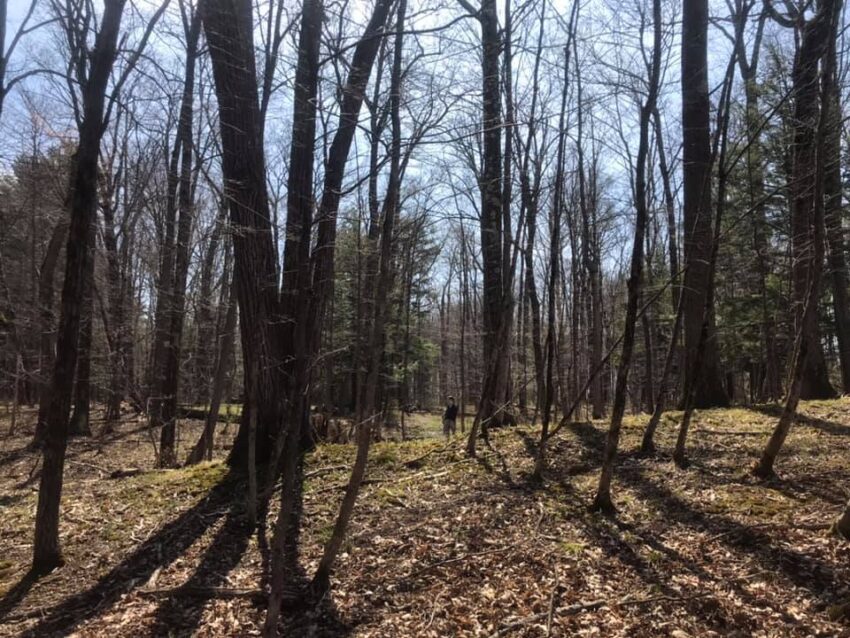 Fun Outdoor Learning for Kids at Five Rivers Environmental Education ...