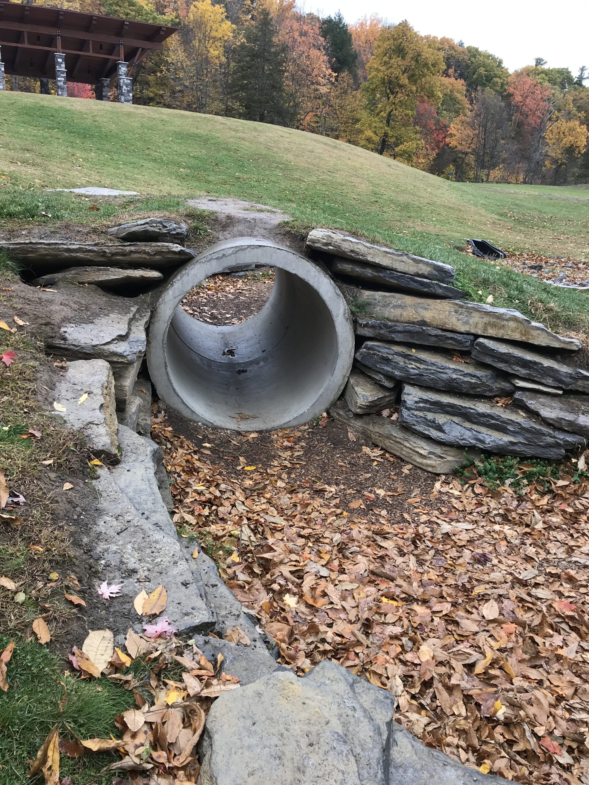 New York State Parks: John Boyd Thacher Park Review and Tips ...