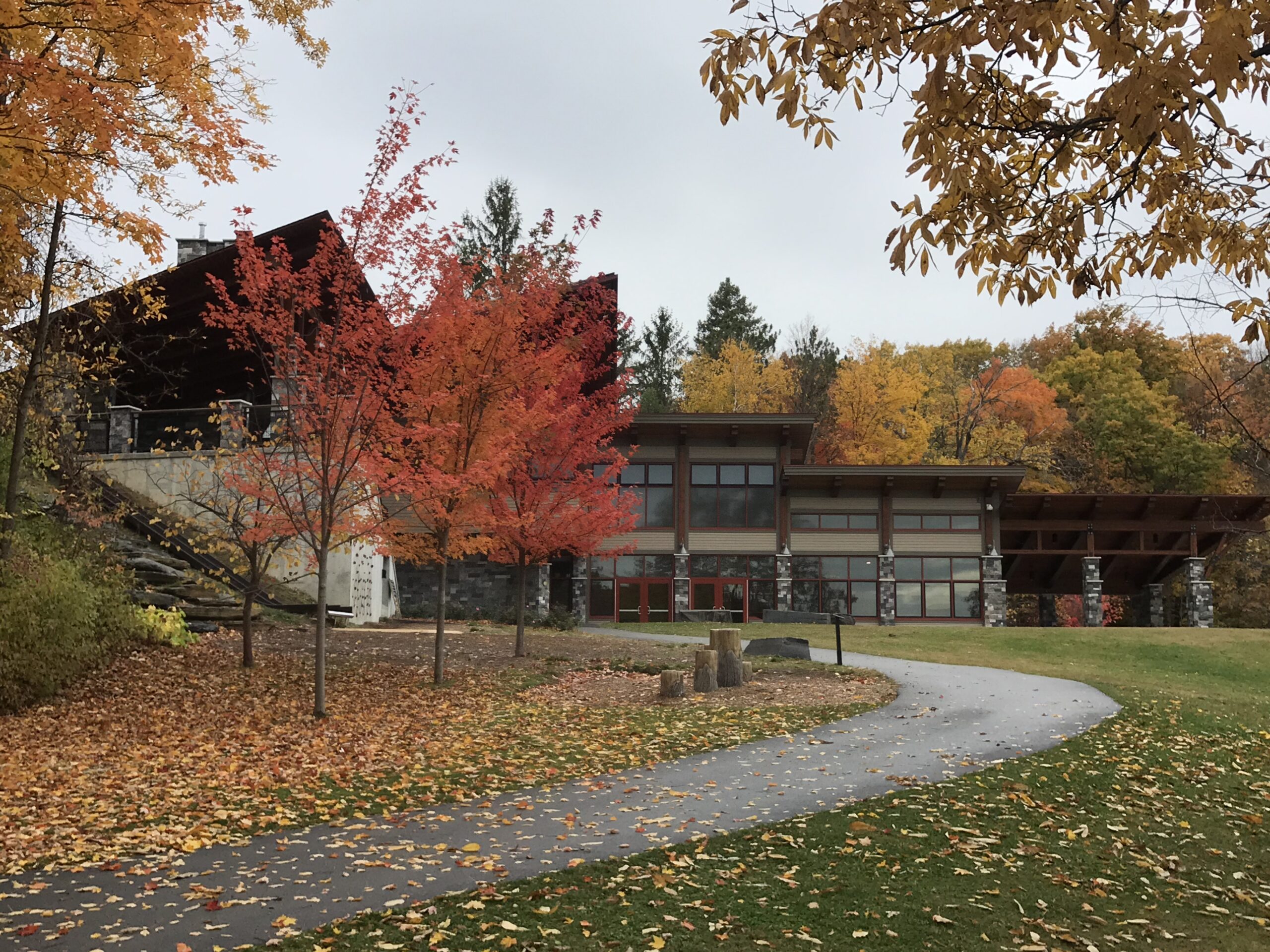 New York State Parks: John Boyd Thacher Park Review and Tips ...