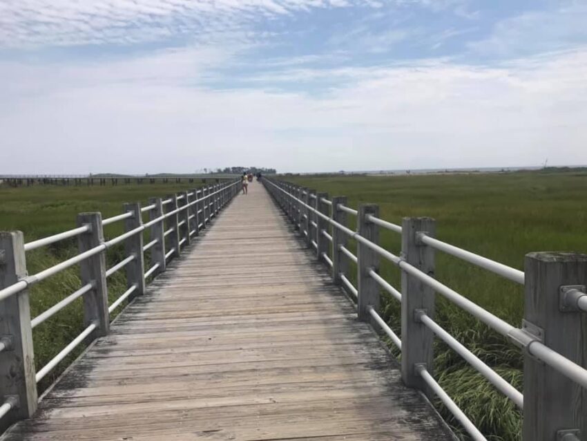 25 Things to Do at the Beach when it’s Too Cold to Swim - Affordable ...