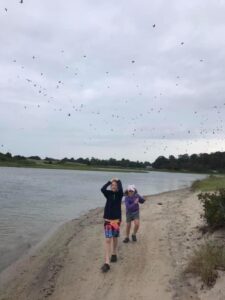 25 Things to Do at the Beach when it’s Too Cold to Swim - Affordable ...