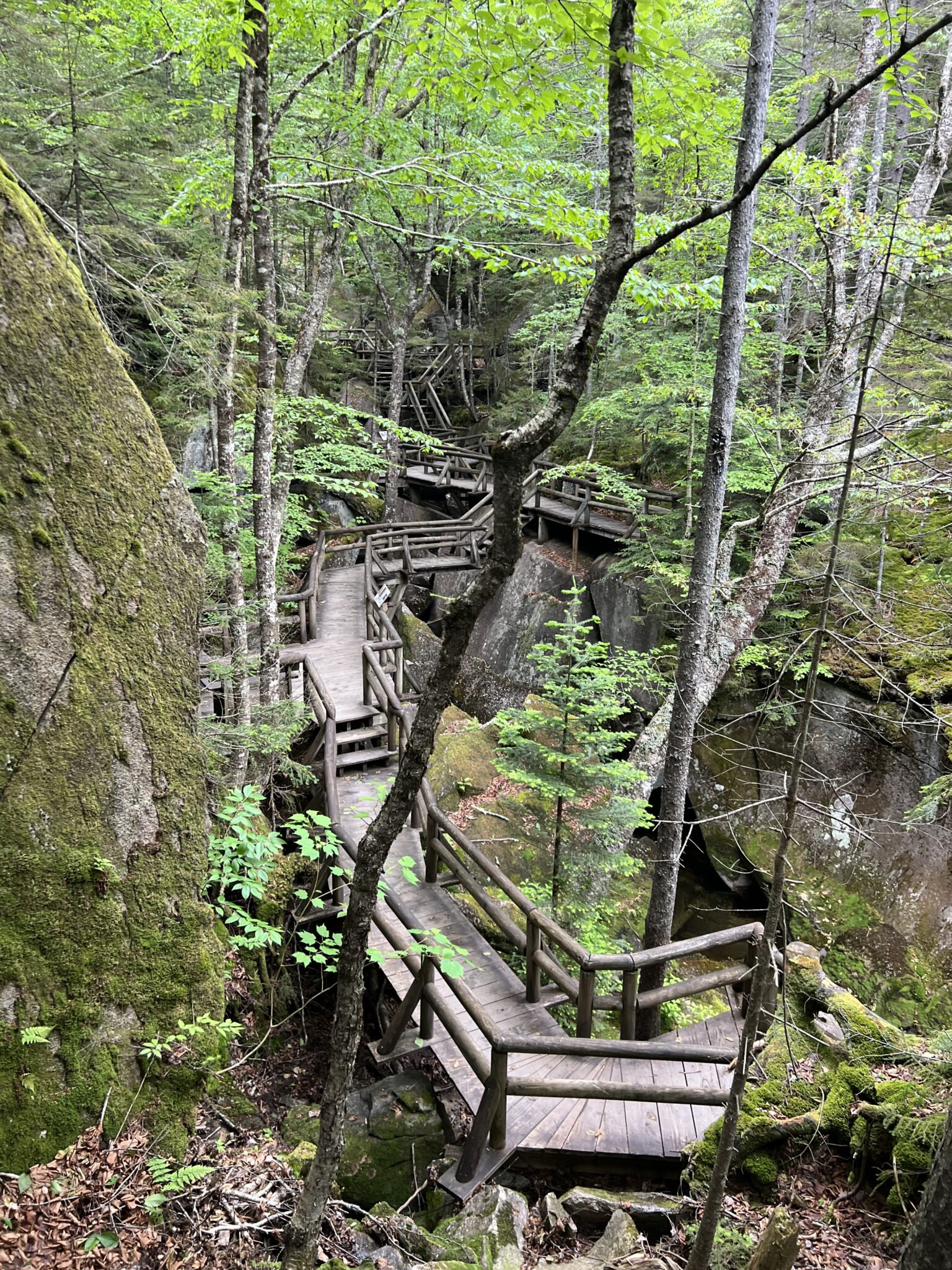 White Mountains National Forest Itinerary and Tips - Affordable Family ...