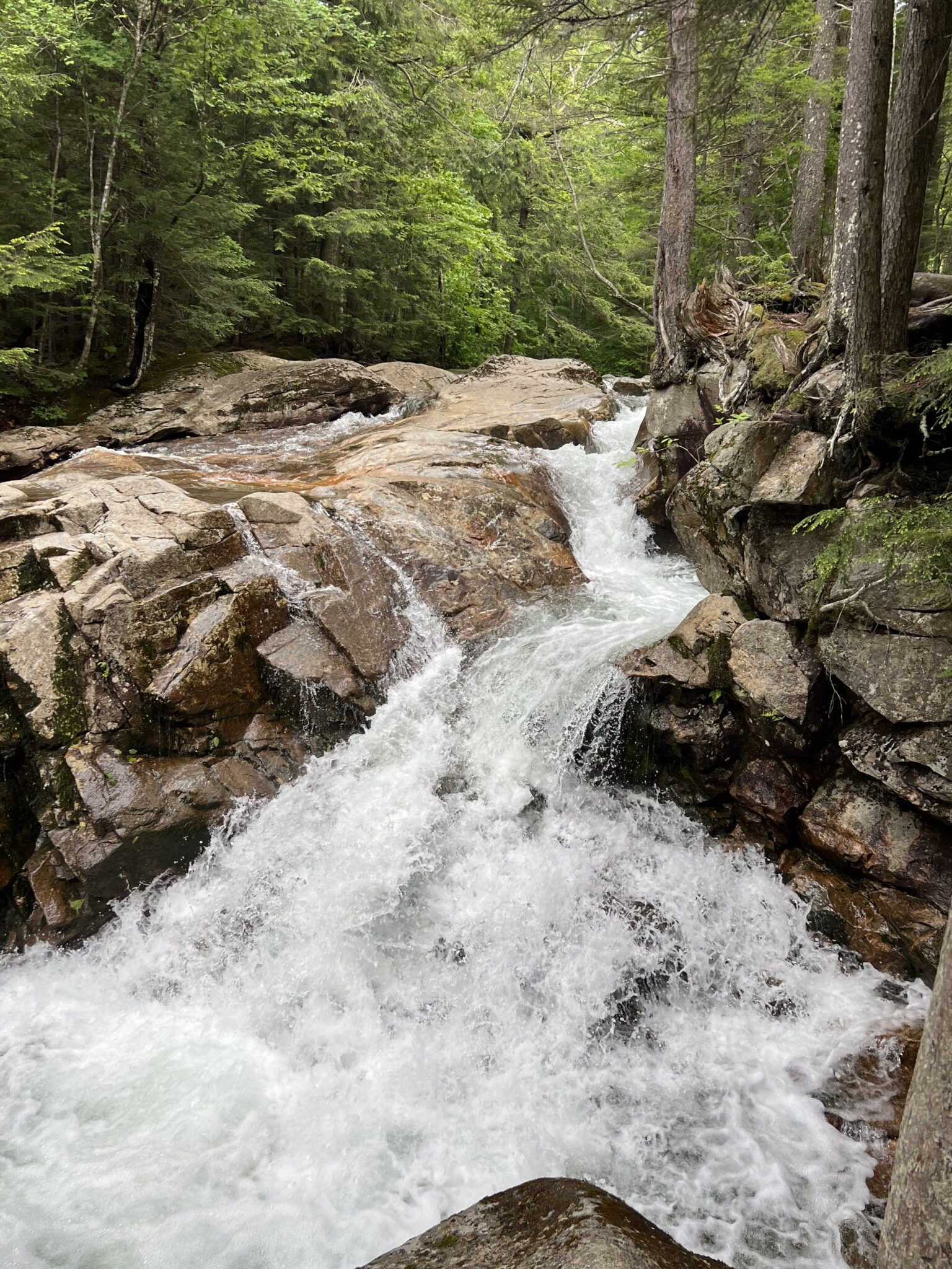 White Mountains National Forest Itinerary and Tips - Affordable Family ...