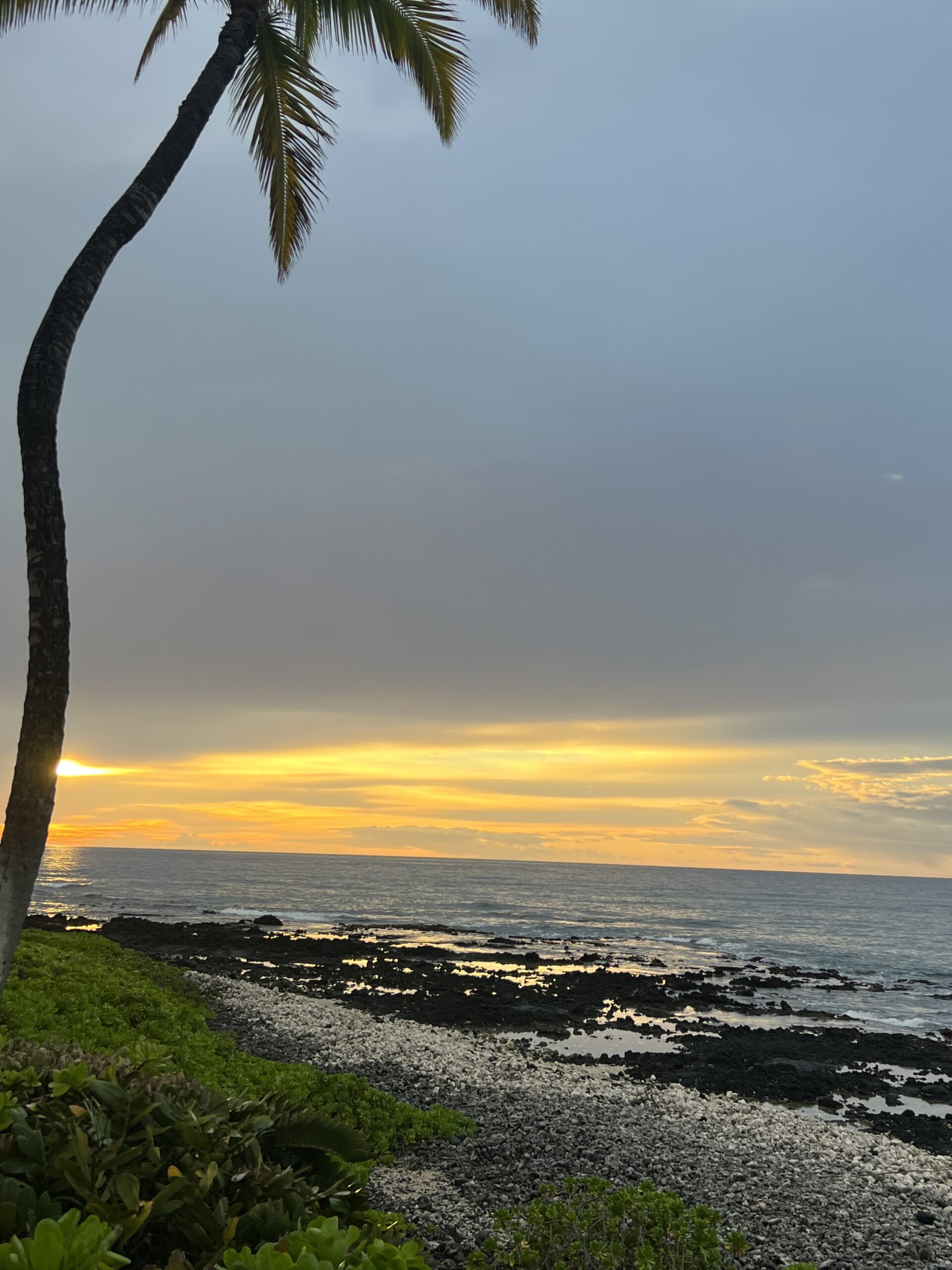 Where to go with a Southwest Airline Companion Pass? - Affordable ...